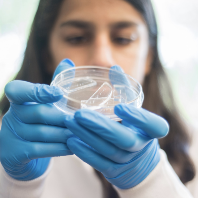 Undergraduate Research Experiences | GMU College of Science Undergraduate Research Experiences | GMU College of Science